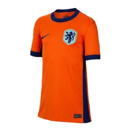 Nike Fußballtrikot Niederlande Trikot Home EM 2024 Kids