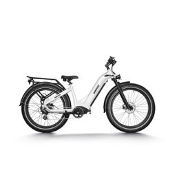 DOTMALL E-Bike Himiway D5/Zebra All Terrain E-Bike 26"×4"48V 20AH 25 Km/h 250W Motor