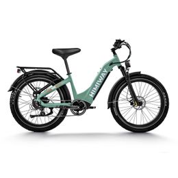 DOTMALL E-Bike Himiway D5/Zebra All Terrain E-Bike 26"×4"48V 20AH 25 Km/h 250W Motor