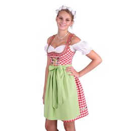 Entari Dirndl 480GT Trachtenkleid Rot Weiß kariert Golden Trachten (3tlg) Kariert