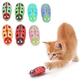 BlingBin Tier-Intelligenzspielzeug 7 Stück Katze elektrisch Marienkäfer Spielzeug