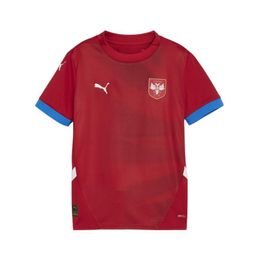 Puma Fußballtrikot Serbien Trikot Home EM 2024 Kids