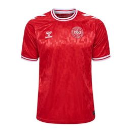 Hummel Fußballtrikot Dänemark Trikot Home EM 2024