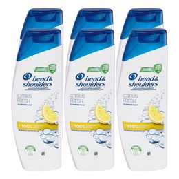 Head & Shoulders Shampoo Citrus Fresh 300 ml, 6er Pack