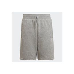 adidas originals Shorts SHORTS (1-tlg), grau