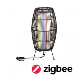 Paulmann 94754 Plug & Shine LED Lichtobjekt Smart Home Zigbee Basket IP44 RGBW 3,2W Schwarz