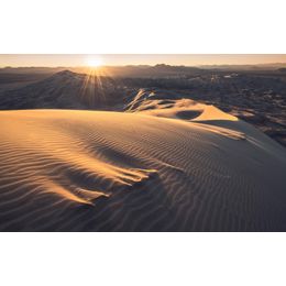 Komar Vliestapete "Mojave Heights" Tapeten Gr. B/L: 450 m x 280 m, Rollen: 1 St., braun (braun, gelb) Vliestapeten