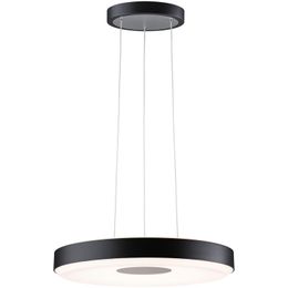 Pendelleuchte Paulmann "Puric Pane" Lampen Gr. Ø 40,0 cm, schwarz (schwarz, grau) LED Hängeleuchten und Pendelleuchten