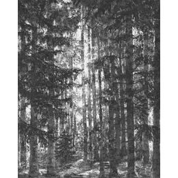 Komar Vliestapete "Lustres Lapland" Tapeten Gr. B/L: 200 m x 250 m, Rollen: 1 St., schwarz (schwarz, weiß) Blumentapeten