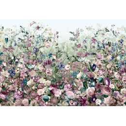 Komar Vliestapete "Botanica" Tapeten Gr. B/L: 368 m x 248 m, Rollen: 1 St., bunt Blumentapeten