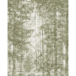 Komar Vliestapete "Fading Forest" Tapeten Gr. B/L: 200 m x 250 m, Rollen: 1 St., rot (braun, weiß, rot) Blumentapeten