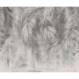 Komar Vliestapete "Natural Nuances" Tapeten Gr. B/L: 300 m x 250 m, Rollen: 1 St., schwarz (schwarz, weiß) Blumentapeten