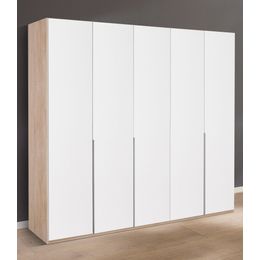 Kleiderschrank wimex "New York" Schränke Gr. B/H/T: 225 cm x 208 cm x 58 cm, 5 St., weiß (struktureichefarben hell, front weiß) Kleiderschränke