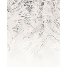 Komar Vliestapete "Illuminating Ivy" Tapeten Gr. B/L: 200 m x 250 m, Rollen: 1 St., schwarz (schwarz, weiß) Blumentapeten
