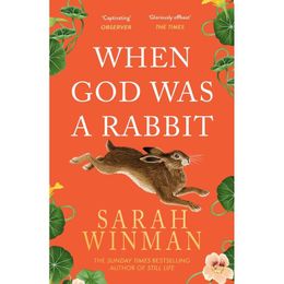 Headline When God Was a Rabbit - Sarah Winman, Kartoniert (TB)