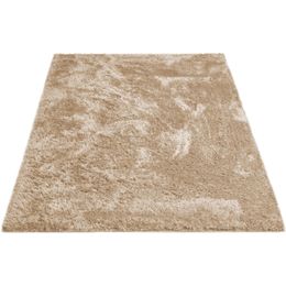 Hochflor-Teppich ANDIAMO "Posada" Teppiche Gr. B/L: 160 cm x 230 cm, 32 mm, 1 St., beige (creme) Esszimmerteppiche