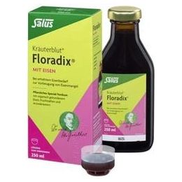 Salus Floradix mit Eisen Lösung zum Einnehmen 250 ml