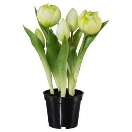 Kunstpflanze Tulpe I in Grün/Weiß
