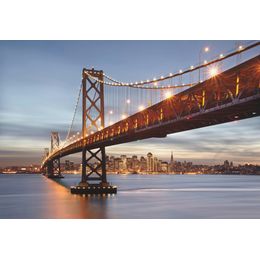 Komar Fototapete "Bay Bridge" Tapeten Gr. B/L: 368 m x 254 m, Rollen: 8 St., bunt (braun, blau, bunt) Fototapeten Kunst