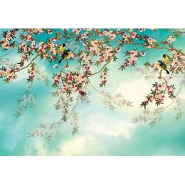 Komar Fototapete "Sakura" Tapeten Gr. B/L: 368 m x 254 m, Rollen: 8 St., bunt (blau, rosa, weiß) Fototapeten Blumen