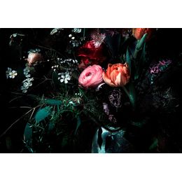 Komar Fototapete "Still Life" Tapeten Gr. B/L: 368 m x 254 m, Rollen: 8 St., bunt Fototapeten Blumen