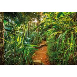 Komar Fototapete "Jungle Trail" Tapeten Gr. B/L: 368 m x 254 m, Rollen: 1 St., grün Fototapeten Natur