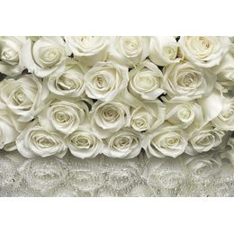 Komar Fototapete "A la Rose" Tapeten Gr. B/L: 368 m x 254 m, Rollen: 1 St., schwarz Fototapeten Blumen