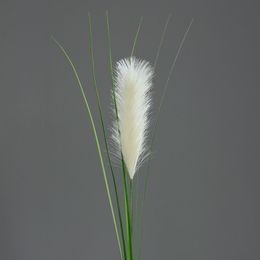 SONSTIGE Kunstpflanze Pampaswedel (H 97 cm)