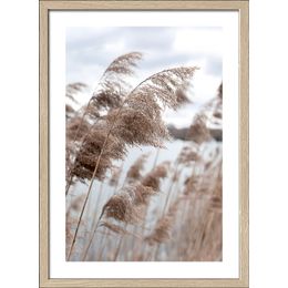 Pro Art Gerahmtes Bild IN THE BREEZE (BHT 75x55x3,20 cm)