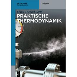 De Gruyter Praktische Thermodynamik - Frank-Michael Barth, Kartoniert (TB)