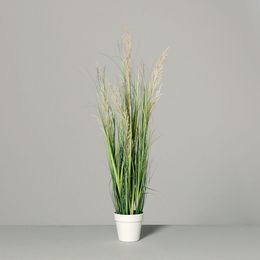 SONSTIGE Kunstpflanze Gräser (H 96 cm)
