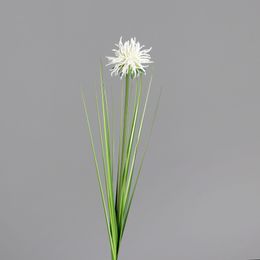 SONSTIGE Kunstpflanze Gräser (H 80 cm)