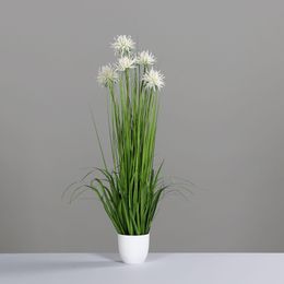 SONSTIGE Kunstpflanze Gräser (H 100 cm)