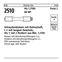 Schraubenbolzen DIN 2510 m.Dehnschaft/2Muttern LM 12 x 110 Mu 1.7709