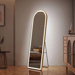 Bogen Standspiegel Ganzkörperspiegel mit Beleuchtung 3 Lichtfarbe Einstellbar Dimmbar, mit Rahmen aus Aluminiumlegierung für Wohn-,Schlaf-,