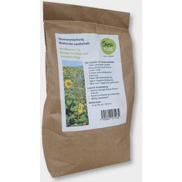 Sira Plus Blühende Landschaft 5 kg Wildblumenmischungen Bienenweide Blumen