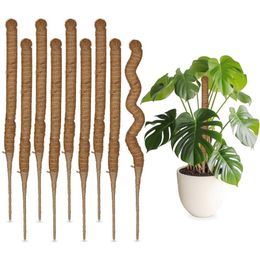 Kokosstäbe im 10er Set, biegsame Pflanzenstäbe, für Monstera, Efeutute und mehr, 60 cm lang, Kokosfaser, natur - Relaxdays