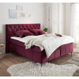 Lomadox Boxspringbett 180x200 cm PETARE-09 in der modernen Farbe Burgund und Härtegrad H2 - rot