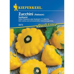 Kiepenkerl - Zucchini Sunburst F1 - Hybride - Gemüsesamen