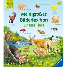 RAVENSBURGER VERLAG Mein großes Bilderlexikon: Unsere Tiere - Susanne Gernhäuser, Pappband