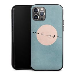 DeinDesign iPhone 12 Pro Handy Silikon H&uuml;lle Case schwarz Handyh&uuml;lle Bird Turquoise Moon