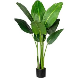 Künstliche Zimmerpflanze Strelitzia Strelitzia, Creativ green, Höhe 120 cm, grün