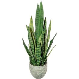 Künstliche Zimmerpflanze Sanseveria Sukkulente, Creativ green, Höhe 70 cm, grün