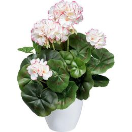 Kunstblume Geranienbusch Mohn, Creativ green, Höhe 34 cm, rosa|weiß