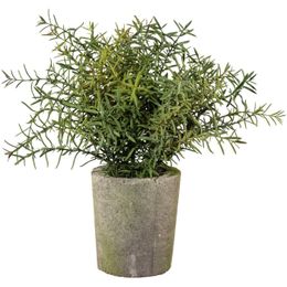Kunstpflanze Rosmarin Kräuter, Creativ green, Höhe 30 cm, grün