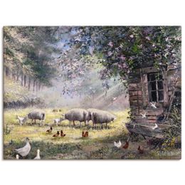 Artland Leinwandbild Hühner und Schafe, Haustiere (1 St), auf Keilrahmen gespannt, grün