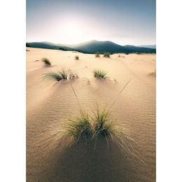 Komar Vlies-Fototapete Vivid Dunes, ca. 200x280 cm