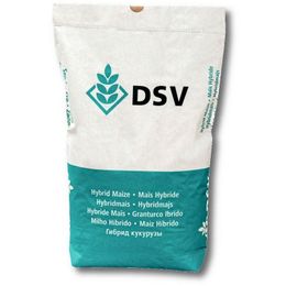 DSV Gelbsenf Alternativ - Zwischenfrucht 25 kg schnellwachsend streufähig