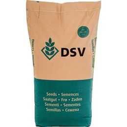 DSV TerraLife BetaMaxx organic ÖKO 25 kg Zwischenfruchtmischung Zuckerrüben