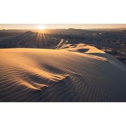 Komar Vlies-Fototapete Mojave Heights, ca. 450x280 cm